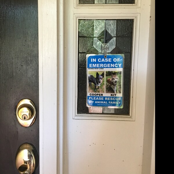 Cat Carrier/dog Carrier/kennel Travel Tag/kennel Tag/crate Tag/travel ...