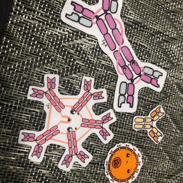 Cute Antibodies and Immune Cells Sticker Set - Etsy