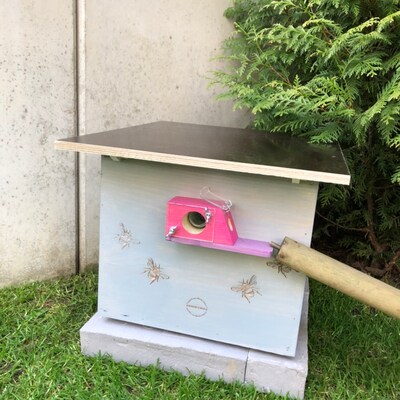 XXL Luxury Bumblebee Box With Wax Moth Lock Viewing Window - Etsy