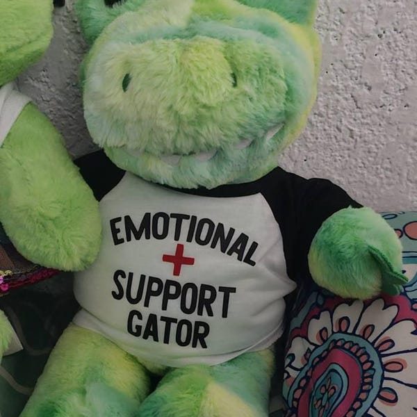 Kandi the Colorful Colorblock Rainbow Bunny Rabbit Plushie Stuffed ...