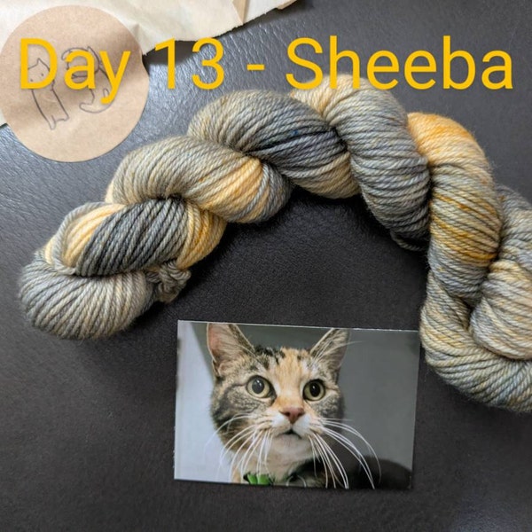 Toe Beans, Sock Club, 85/15 Superwash Merino/nylon Blend, 480 Meters ...