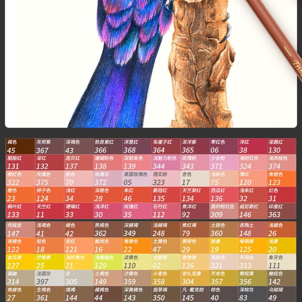 Kalour 300 Colored Pencil Swatch Chart - Etsy