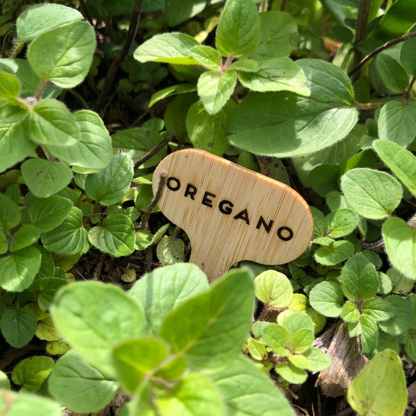 Australian Slang Postcard, Woop Woop - Etsy