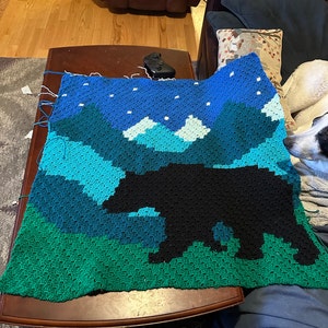 Crochet Corner 2 Corner Frog Graphgan Pattern - Etsy