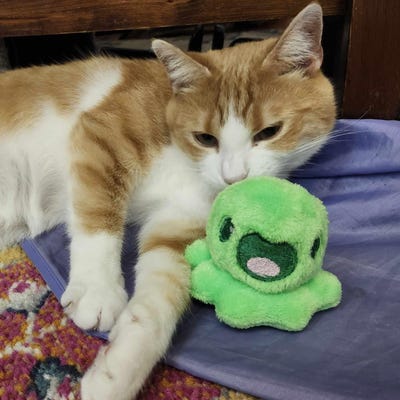Bat Skeleton Black and Green Keyboard Rug Fluffy Pastel Handmade ...
