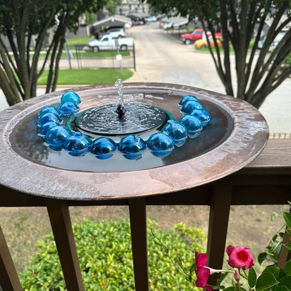 Conch SHELL Nautical Beach Decor NIGHTLIGHT LAMP - Etsy