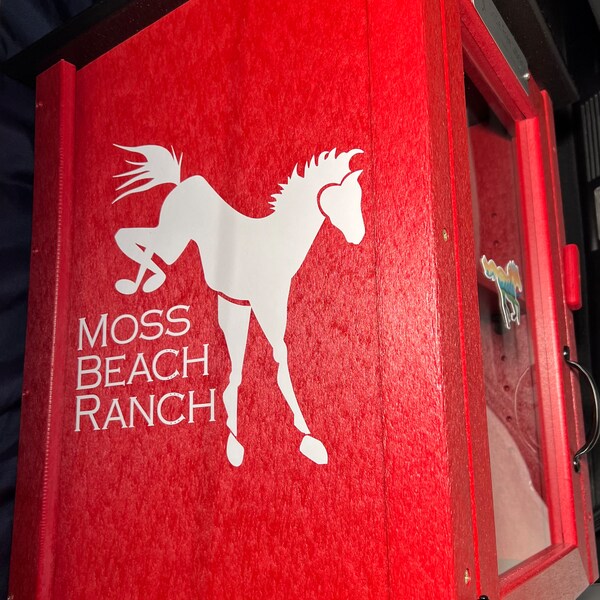 Mule Head Decal Donkey Contour Cut Vinyl Decal Equestrian Car Truck ...