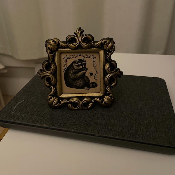 Raccoon Print in Baroque Frame - Vintage Style Art in Mini Baroque ...