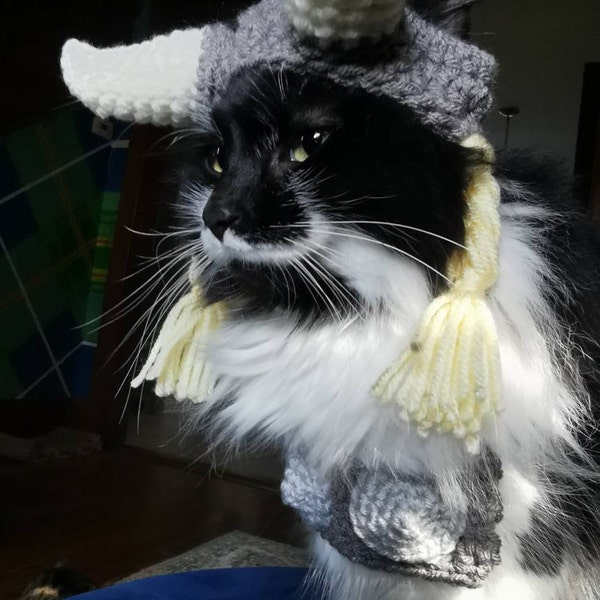 Brunhilde, Vikings, Valkyries, Wagner Opera, Hats for Cats, Pet Hats ...