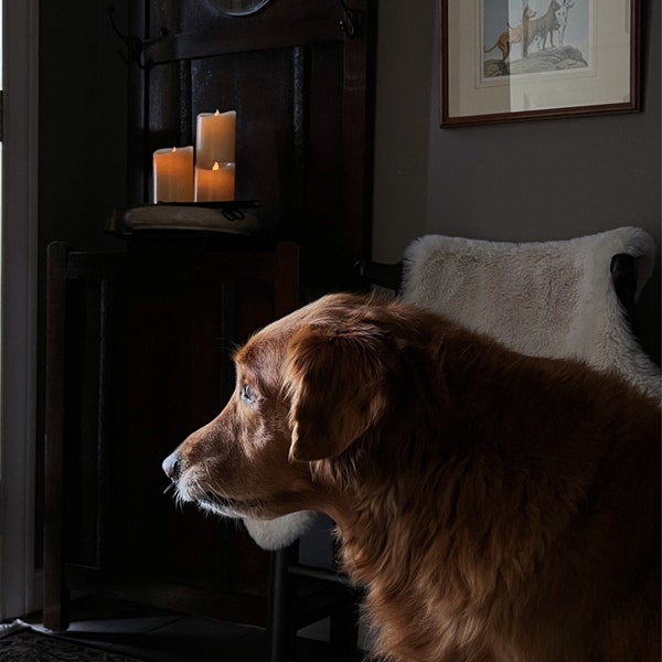 Porcelain Pekingese Dog, Beswick Pekingese Figurine, Pekingese Lovers ...