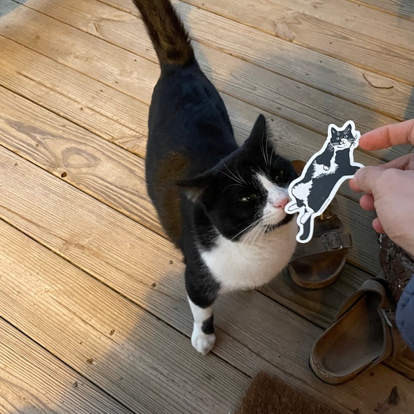 Banana Slug STICKER - Etsy