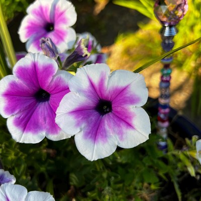 14 Inch Jeweled Garden Stake, Planter Stake, Round Prism Garden Stick ...