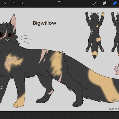 Cat Reference Sheet, Base, Lineart, Warrior Cats, Ocs - Etsy
