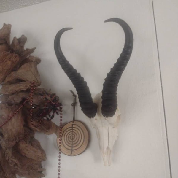 Green Cowhide Rug/ Green Dyed Brazilian Cowhide/ Dyed Emerald Green ...