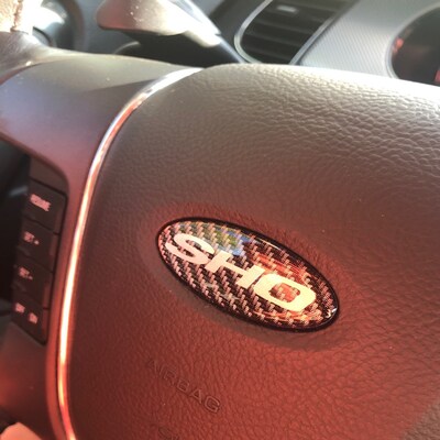 Gel Coated DOMED Ford Taurus sho Emblem Overlay : Fits Taurus SHO 2010 ...