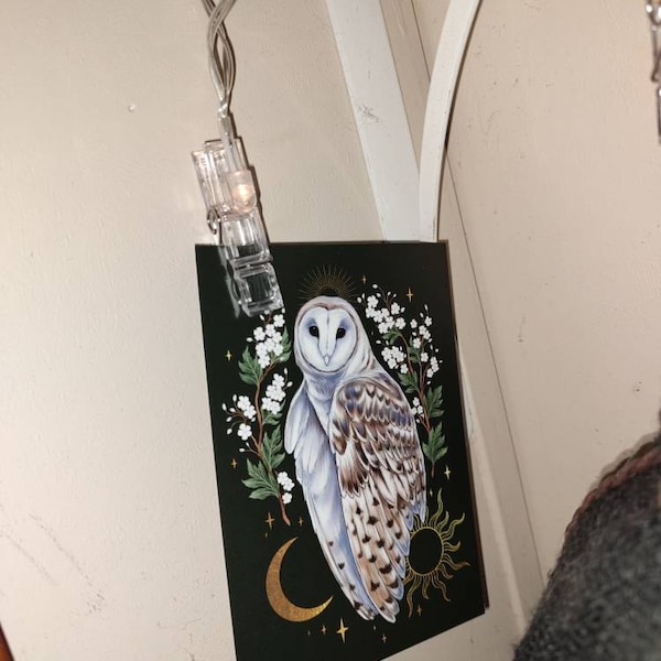 Magical Postcard -white Owl With Dark Green Background- Designed by ...