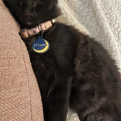 Pet ID Tag Luna Moon Customized Name on Front - Etsy