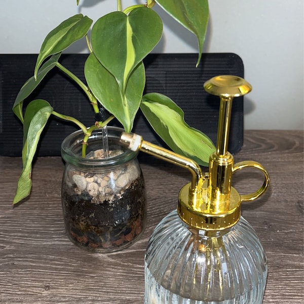 Plant Mister, Plant Spritzer, Vintage Plant Mister, Glass Plant Mister ...