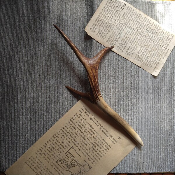 Octopus the Handle for the Knife , Handle for Elk Horn - Etsy