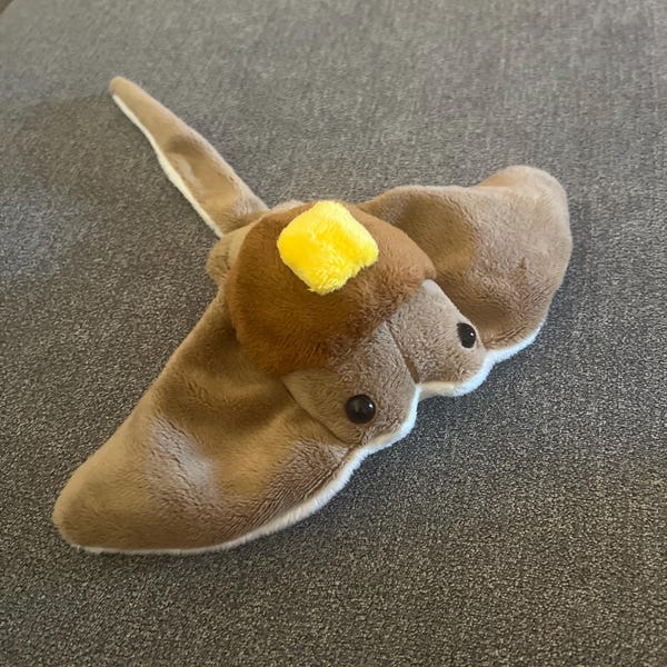 Handmade Pancake Stingray Plush: Weighted Sea Pancake - Etsy