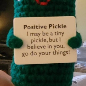 Emotional Support Pickle,positive Pickle,big Fan Pickle,handmade ...