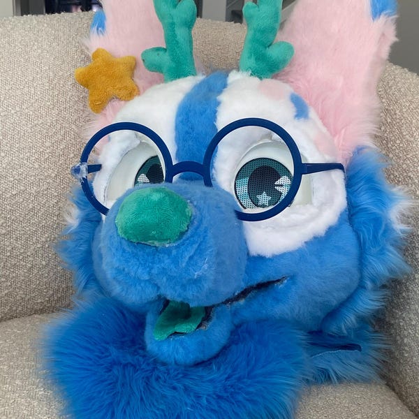 Oblong Fursuit Follow-me Eye Blanks - Etsy