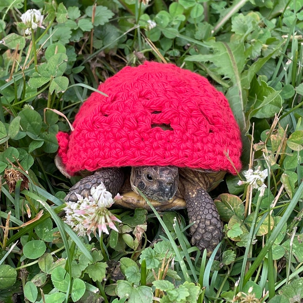 NEW Crochet PATTERN Instructions for Santa Hat Cozy for Tortoises - Etsy
