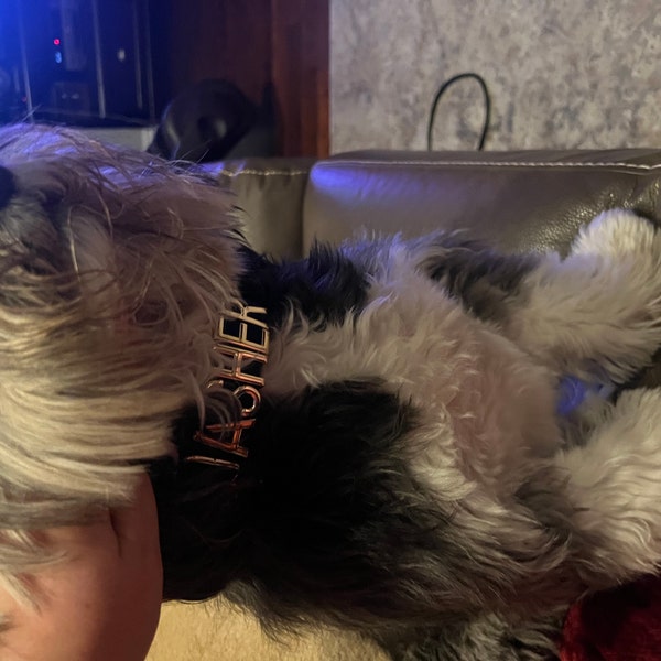 Personalized Dog Collars With Metal Letter Name, Female Dog Collars ...