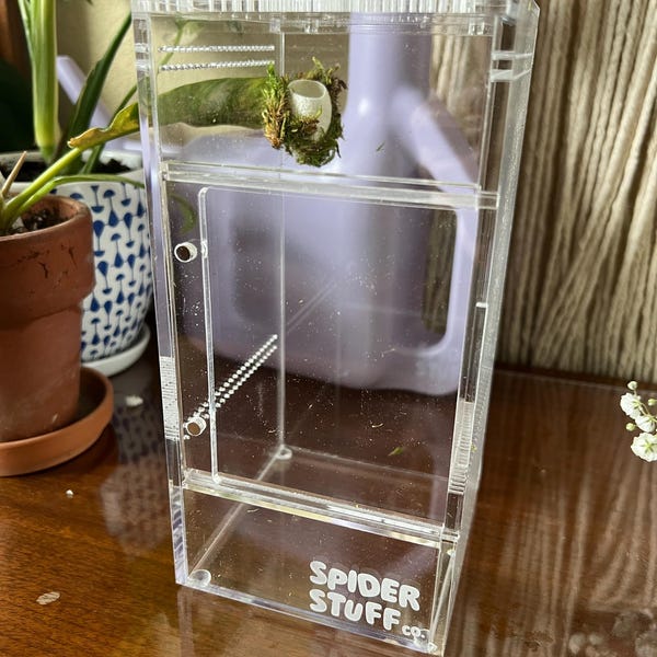 Spider Stuff Blank Spider Enclosure 4” X 4” X 8”, - Etsy