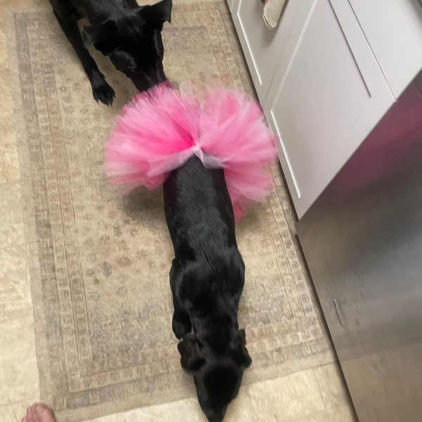 Dog Tutu: Pink Mix Tutu fuscia Pink, Bubblegum Pink, Baby Pink Small ...