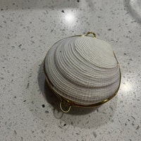 Bahamian Queen Conch Shell Light I Pink Conch Shell Night - Etsy Canada