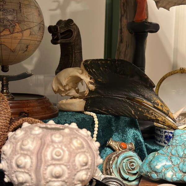 Realistic Human Skull Replica - Life-size, Dark Tones, Anatomical Decor ...