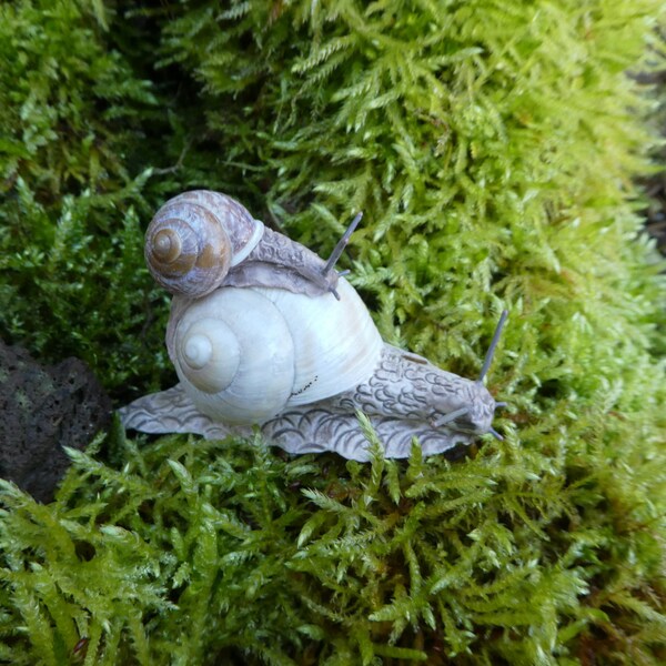 10 Snail Shells Empty Painted Gold DECORATION FLORISTRY Snail Crafts - Etsy