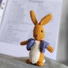 Peter Rabbit Amigurumi Pattern, Crochet Bunny Pattern, Crochet Tutorial ...