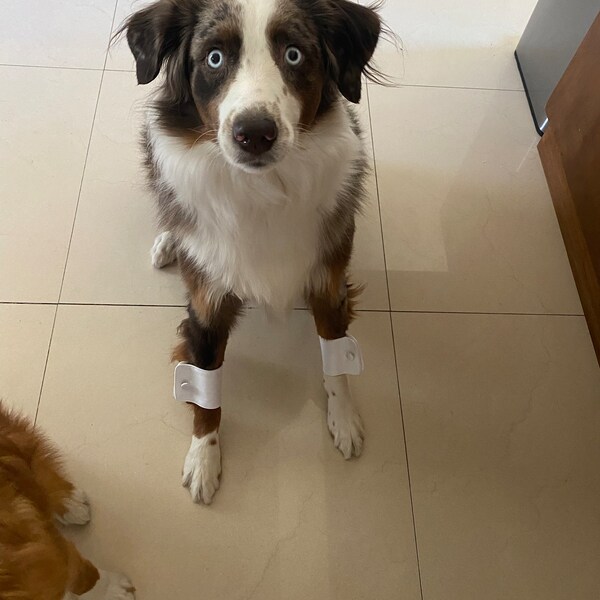 Dog Cuffs~non-slip Feature~dog Tuxedo~dog Cuffs With Satin Buttons to ...