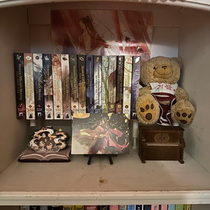 Shelf Riser for Displaying Two Rows of Books on a Single Shelf ...