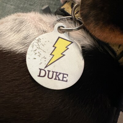 Lightning Bolt Pet ID Tag Dog Tag, Key Chain, Pet Identification - Etsy