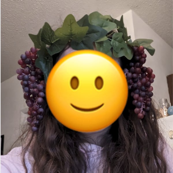 Blank Flower Crown Vine Base DIY Floral Vine Crown Base Add Your Own ...