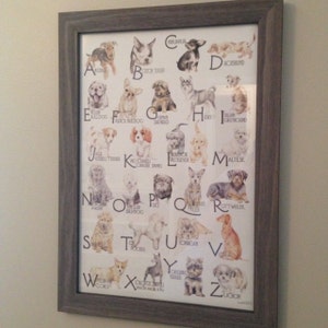 ABC Dog Breeds Alphabet Poster - Original Watercolors - Etsy