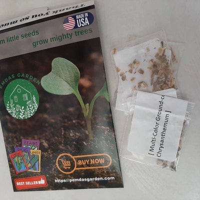 Light Blue Rose Seeds-perennial Authentic Seeds Mix Seeds Late Winter ...