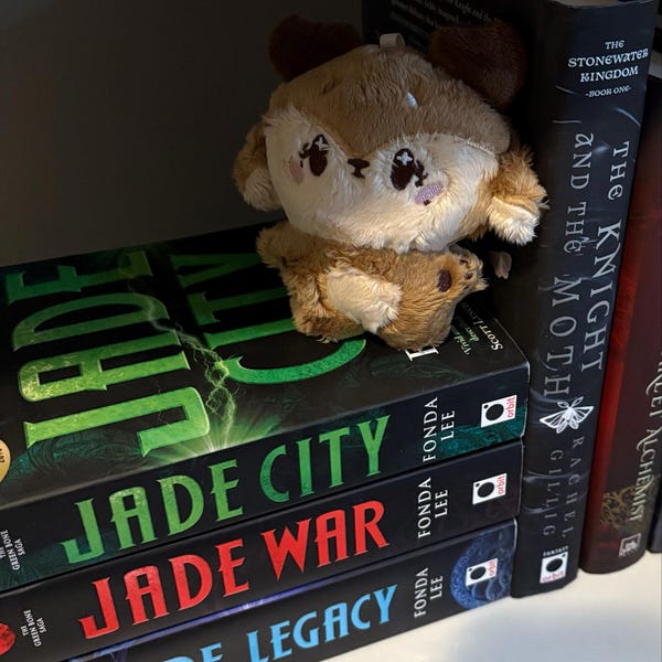 Enhypen En-dolls | Animal Fanmade Plushie | Jungwon | Heeseung | Jake ...