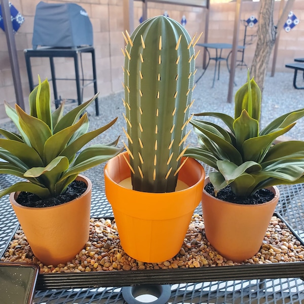 3D Printed Cactus Toothpick Dispenser House Plant | Cacti Houseplant ...