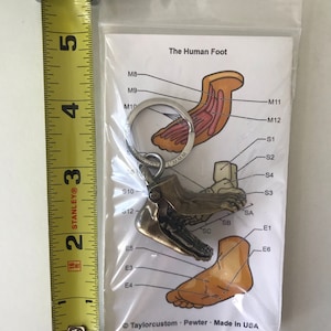 Human Stomach Keychain Anatomy Locket Keychain or Necklace - Etsy