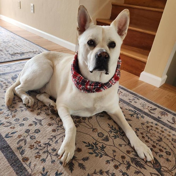 Dog Infinity Scarf (aspen) - Bandeau Scarf, Flannel, Dog Neck Wear ...