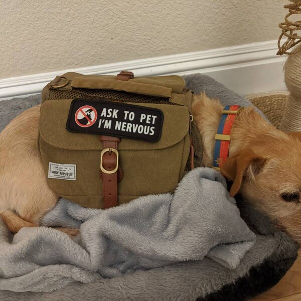 Nervous Dog Patch | Ask to Pet Patch | Dog Vest Patches | Custom Dog ...