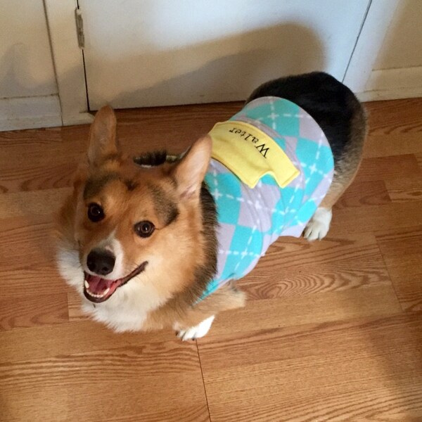 Custom Corgi Hoodies - Etsy