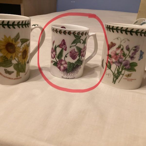 Black Dots & Spots Cup and Saucer Fine Bone China Flowers Butterflies ...