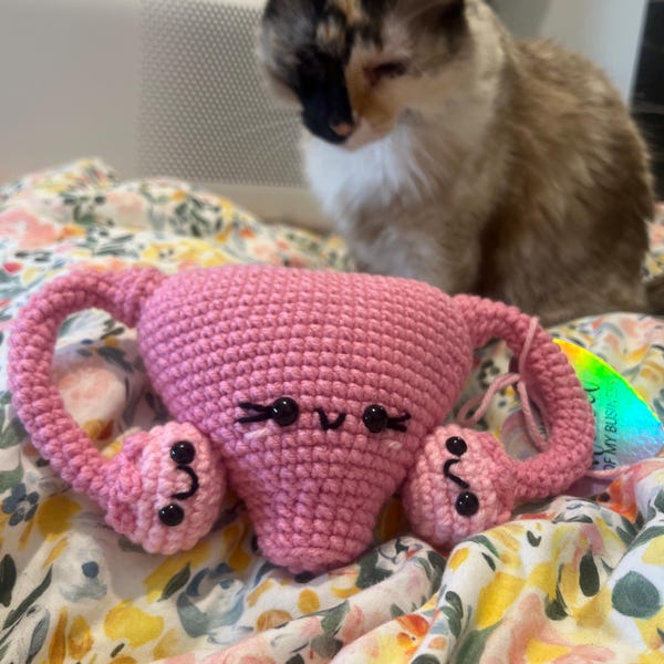 Spleen Stuffed Plushie Handmade Crochet Organ Nurse Gift Doctor Gift ...