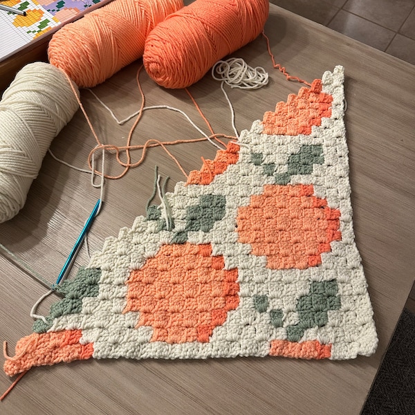Peach Crochet Baby Blanket Pattern: Easy C2C Graphgan (PDF Pattern) - Etsy