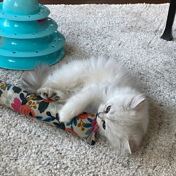 Organic Catnip Cat Toy - "the Big Kicker" - Garden Floral Print - Etsy